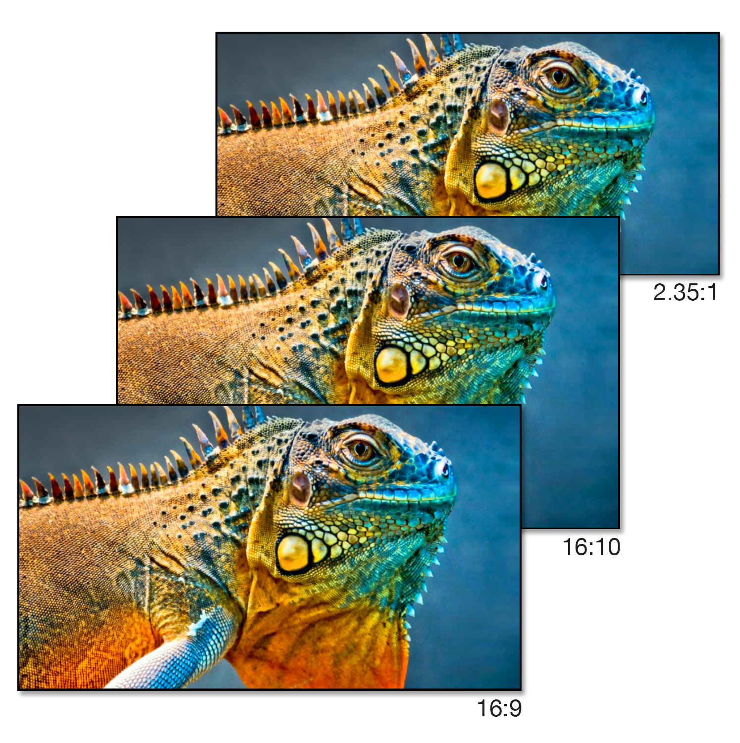 Stiletto Projector Screen - Vutec Projector Screens